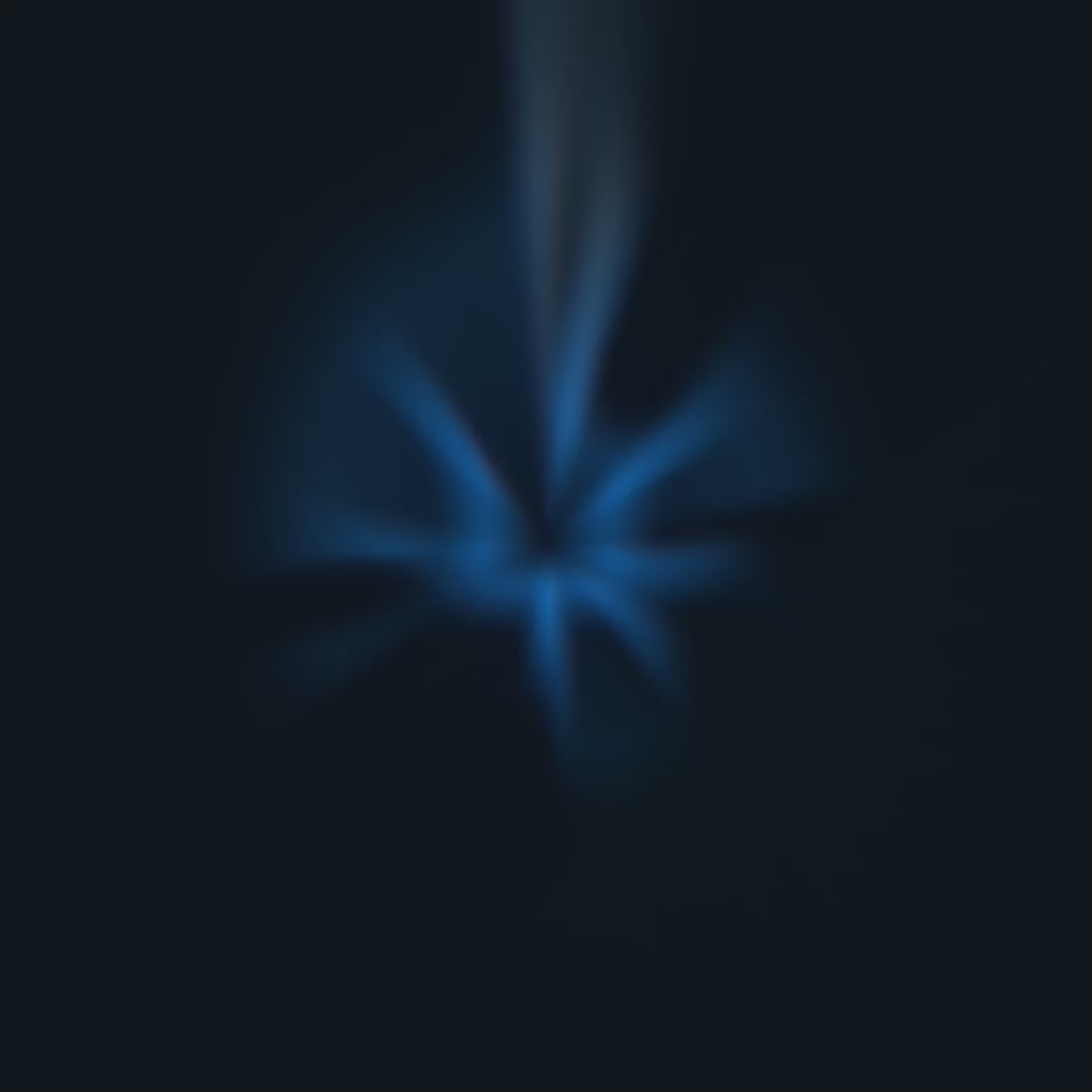 Products – BraveAim