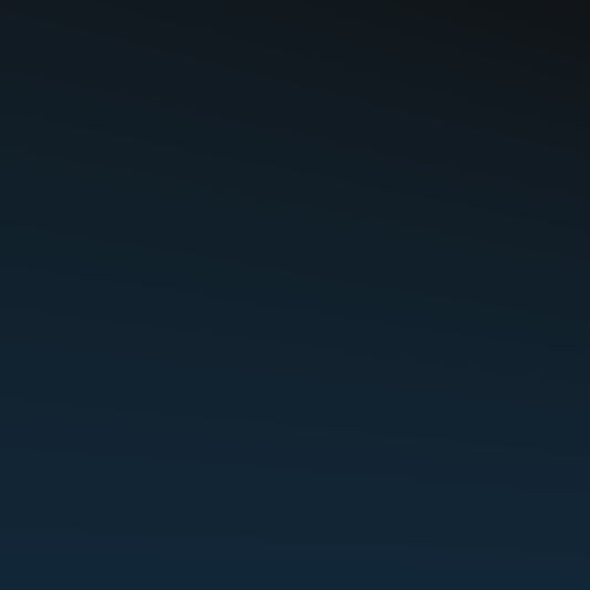 Products – BraveAim